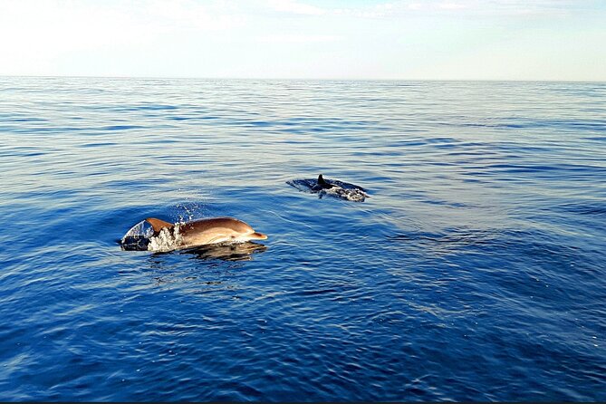 Sunset Cruise Taormina Private - Practical Tips for Travelers