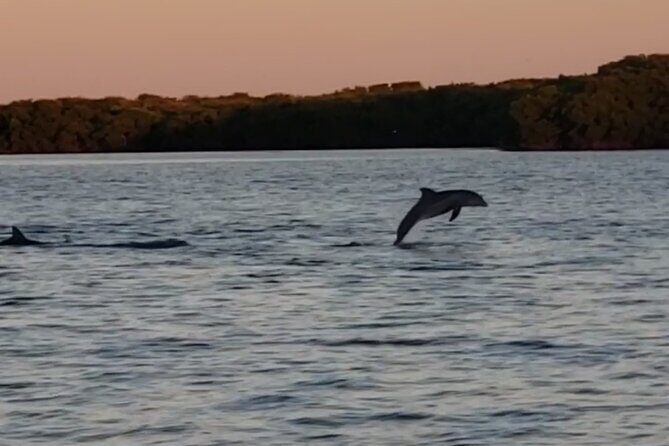 Sunset Cruise to Johns Pass, Madeira Beach, St Pete Beach - The Sum Up