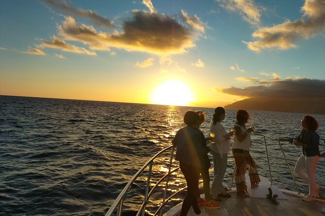 Sunset Cruise With Dinner on Board - Traveler Experiences and Feedback