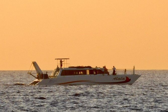 Sunset Cruise with the Whales from Kawaihae Harbor - Sunset Cruise with the Whales from Kawaihae Harbor: An Honest Review