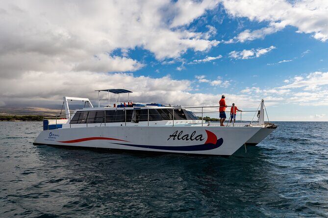Sunset Cruise with the Whales from Kawaihae Harbor - What to Expect on the Sunset Whale Watching Cruise
