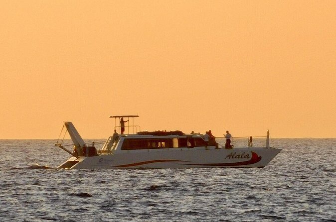 Sunset Cruise with the Whales from Kawaihae Harbor - Who Will Love This Experience?