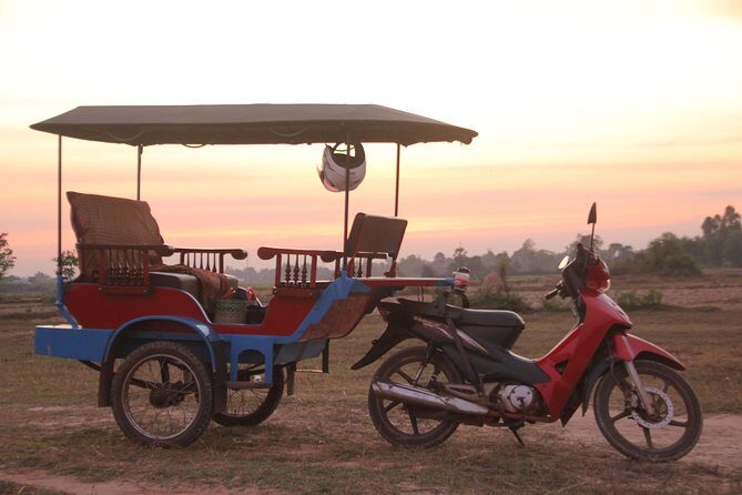 Sunset Dinner at Rice Paddy Fields - Who Should Consider This Tour?