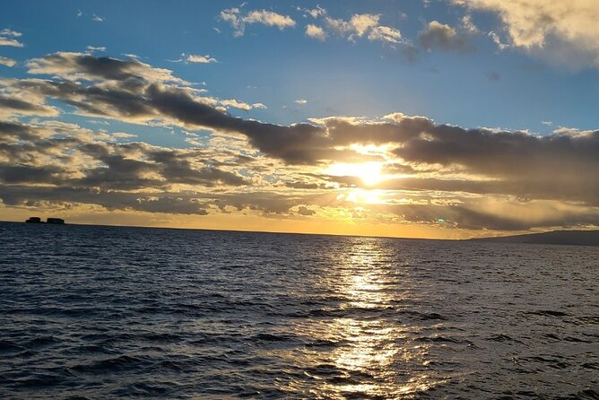 Sunset Dinner Cruise in Honolulu - What the Reviews Tell Us