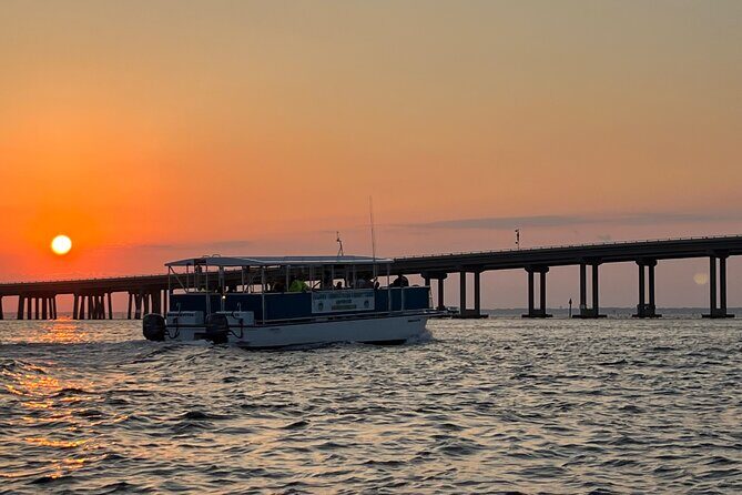 Sunset Dolphin Cruise - An In-Depth Look at the Tour Experience