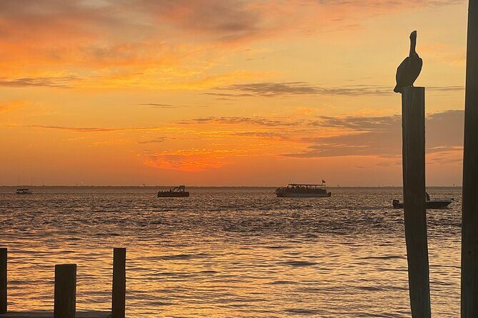 Sunset Dolphin Cruise - Final Thoughts