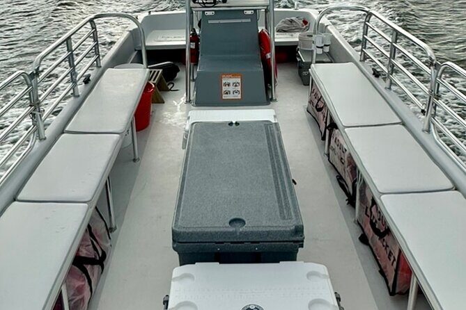 Sunset Dolphin Cruise (options for public of private) - The Sum Up