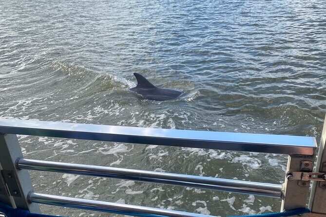 Sunset Dolphin Eco Tour - Additional Information