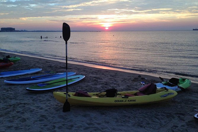 Sunset Dolphin Kayak Tours - Who Will Appreciate This Experience Most?