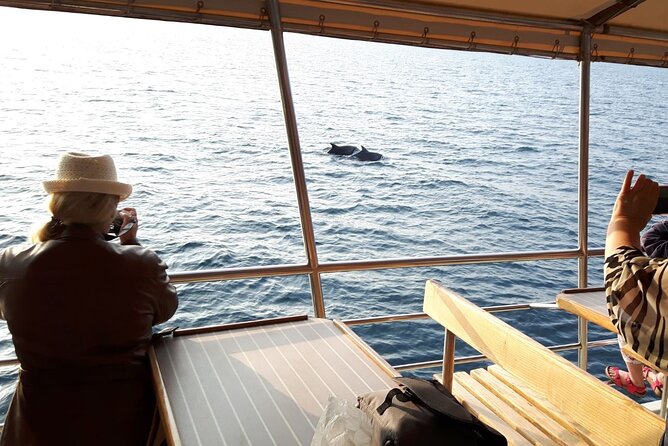 Sunset Dolphin Watching Boat Tour from Vrsar - FAQ