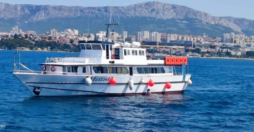 SUNSET DOLPHIN WATCHING BOAT TOUR - Key Points