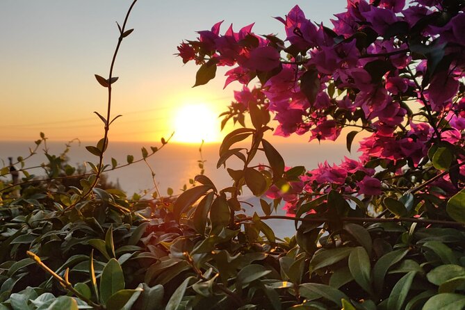 Sunset E-Bike Tour on the Sorrento Peninsula - The Sunset Moment and Post-Tour Relaxation