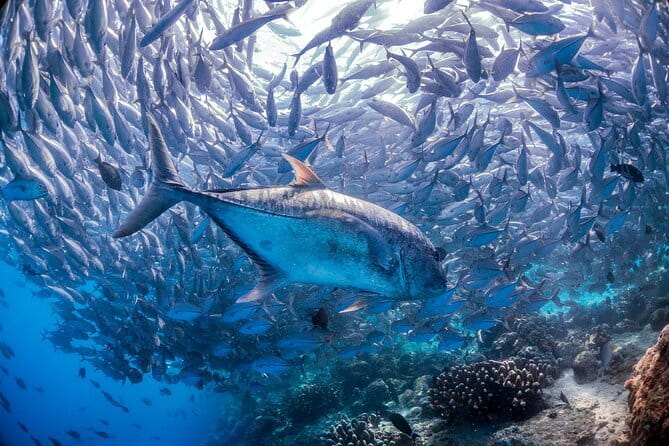 Sunset E-Foil Experience in Tanjung Aru Beach - The Sum Up: Is It Worth It?