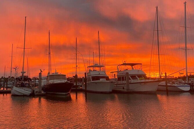 Sunset Eco Tour of Marco Island & 10,000 Islands - What’s Included and Why It Matters