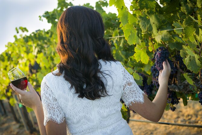 Sunset Etna & Wine  Private Experience - Valuing the Price