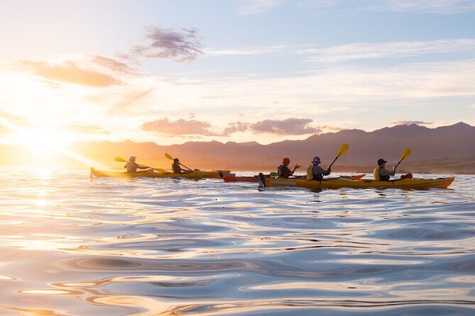 Sunset Evening Kayaking Tour - Kaikoura - What Makes This Tour Special