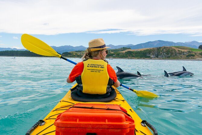 Sunset Evening Kayaking Tour - Kaikoura - Considerations and Tips for Travelers