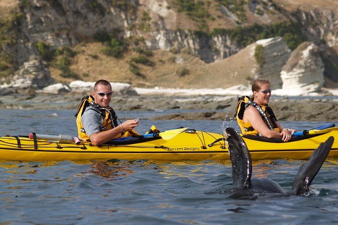 Sunset Evening Kayaking Tour - Kaikoura - FAQs