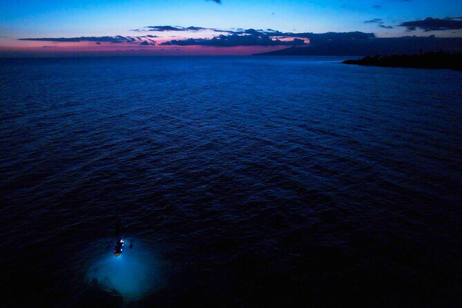 Sunset/Glow Clear Kayak Tour in Olowalu - Who Will Love This Tour?