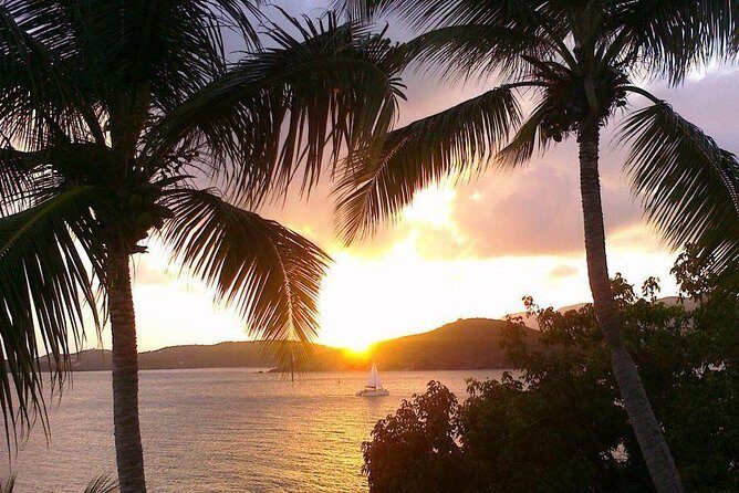 Sunset & Harbor Lights Dinner Sail from the Marriott's Frenchman's Cove - What to Expect on Your Sunset & Harbor Lights Dinner Sail