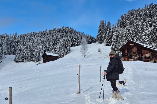 Sunset Hike With Outdoor Cheese Fondue Dinner - About Your Stay