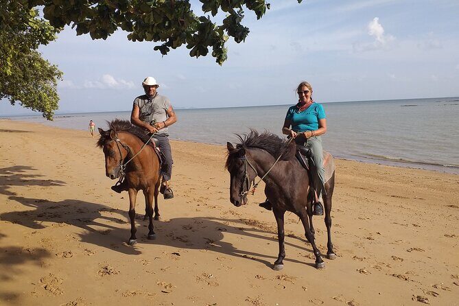 Sunset Horse Riding And BBQ Dinner Tour At Ao Nam Mao Beach Krabi - An Honest Look at the Tour Experience