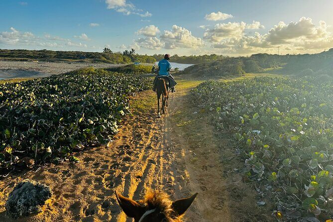 Sunset Horseback Ride at Macao Beach & Forest with Transfers - FAQ