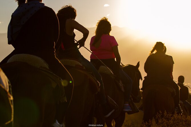 Sunset Horseback Riding - Experience Highlights