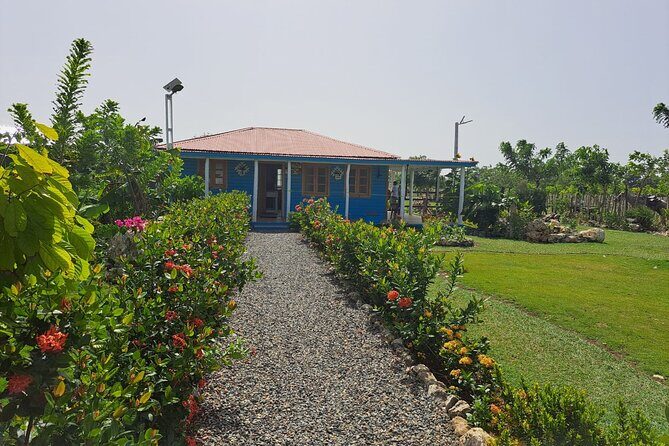 Sunset Horseback Riding Tour in Punta Cana (Private Option) - Logistics, Duration, and Practical Tips