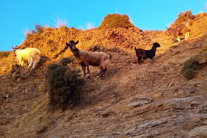 Sunset Jeep Tour in Crete - Accessibility and Family-Friendly Features