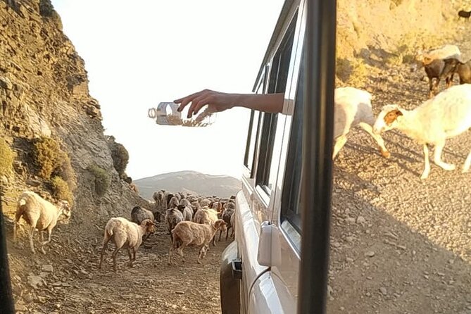 Sunset Jeep Tour in Crete - Booking Information and Pricing
