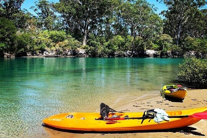 Sunset Kayak Eco Tour with Marine Scientist - Analyzing the Value