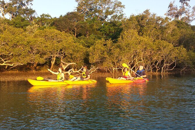 Sunset Kayak Eco Tour with Marine Scientist - Who Will Love This Tour?