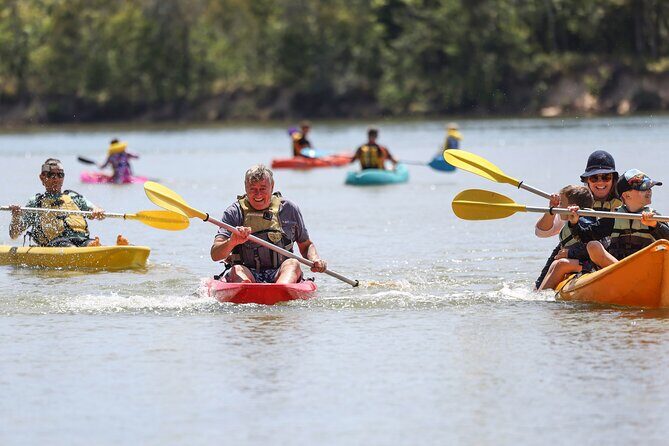 Sunset Kayak Eco Tour with Marine Scientist - The Sum Up