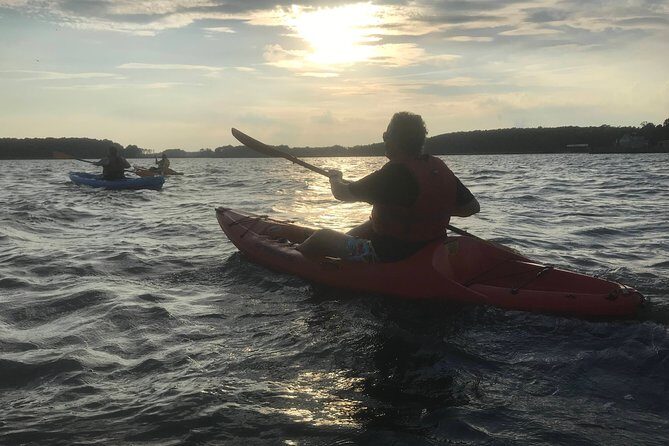 Sunset Kayak Excursion - Rehoboth Bay - Final Thoughts: Who Will Love This Experience?