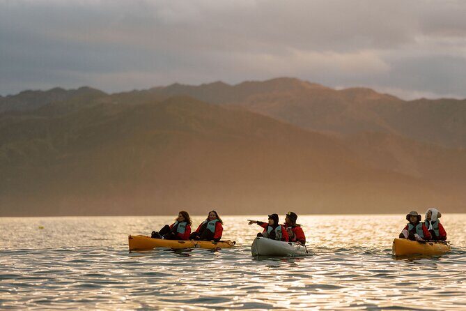 Sunset Kayak tour in Kaikoura - Final Thoughts