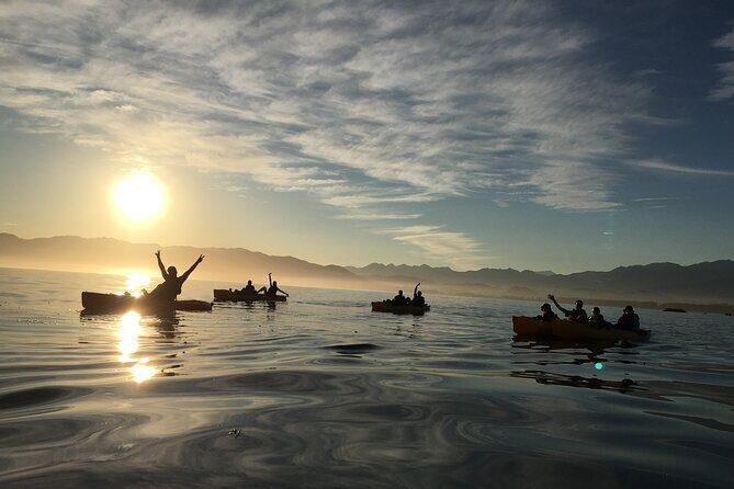 Sunset Kayak tour in Kaikoura - FAQs