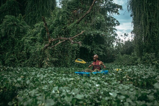 Sunset Kayaking in Hidden Alleppey Backwater Routes - The Practical Details