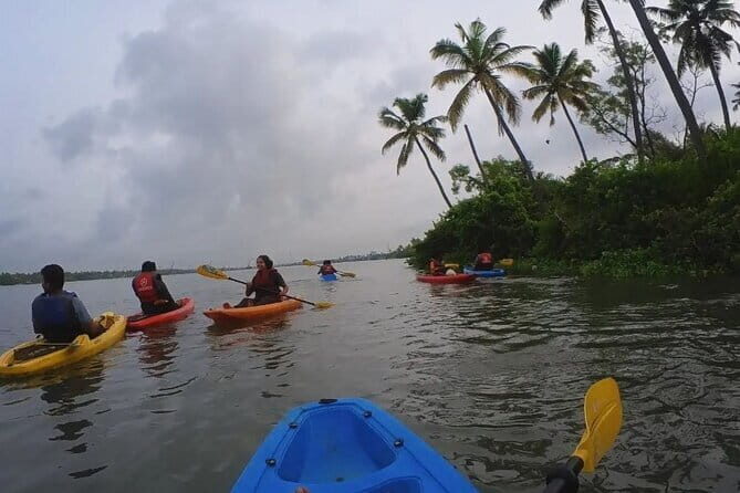 Sunset Kayaking in Hidden Alleppey Backwater Routes - Who Should Book This Tour?
