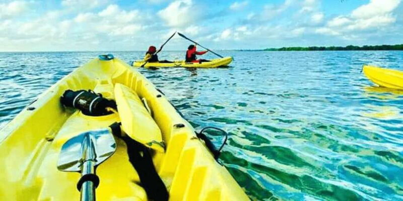 Sunset Kayaking in Negombo - What to Expect During the Tour