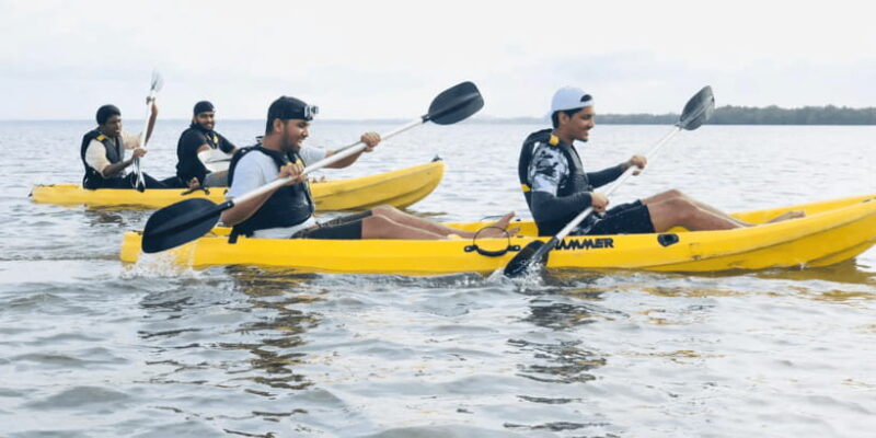 Sunset Kayaking in Negombo - The Scenery and Wildlife