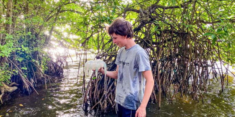 Sunset Kayaking on the Negombo Lagoon - The Sum Up: Who’s This Tour For?
