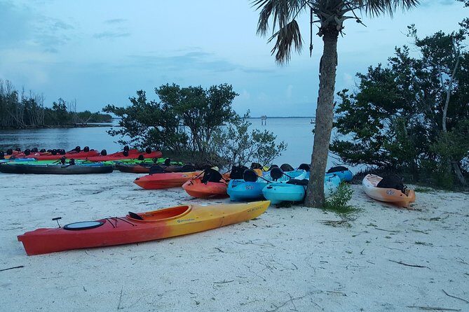 Sunset Kayaking w/ Florida Bioluminescence Combo Tour | Haulover canal - Key Points
