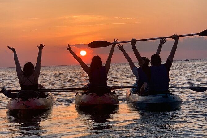 Sunset Kayaking with Dolphins - Practical Details and Tips