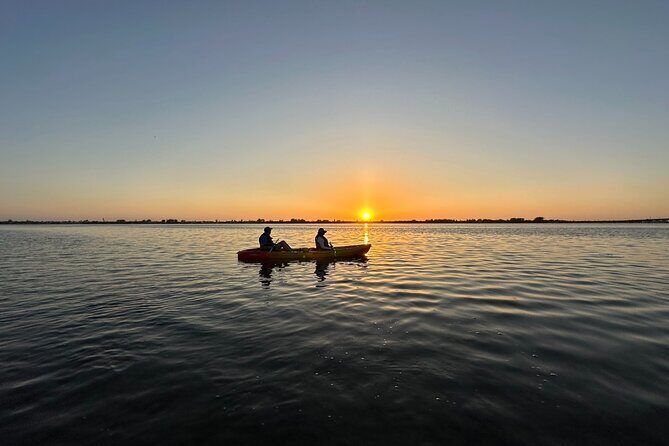 Sunset Kayaking with Dolphins - Who Is This Tour Best For?