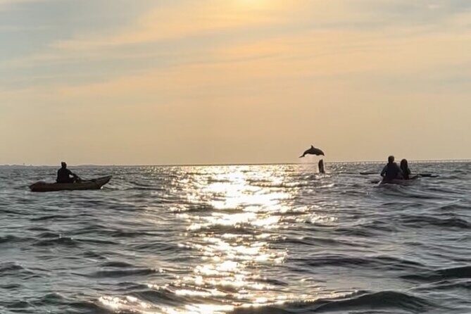 Sunset Kayaking with Dolphins - Final Thoughts