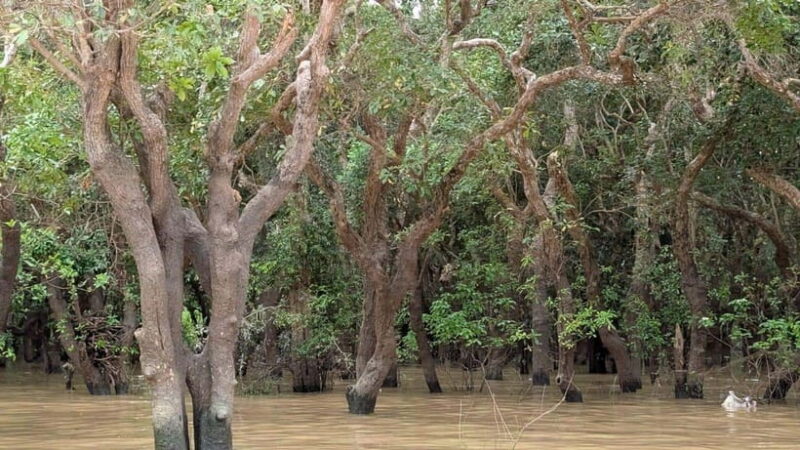 Sunset Kompong Pluk Floating Village - Key Points