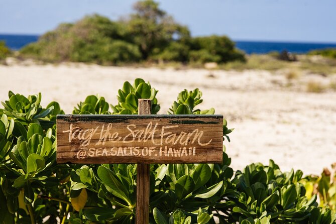 Sunset Kona Salt Farm Tour - Who Should Consider This Tour?