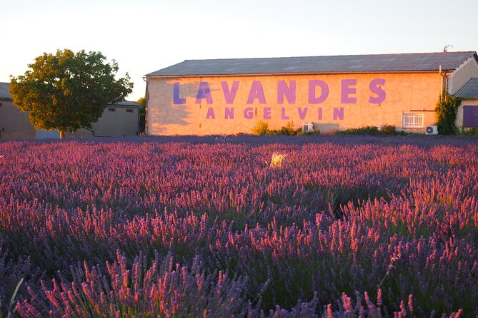 Sunset Lavender Tour in Valensole With Pickup From Marseille - Village Exploration in Valensole