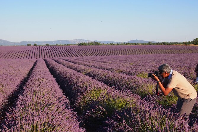Sunset Lavender Tour in Valensole With Pickup From Marseille - Distillery and Olive Farm Visits